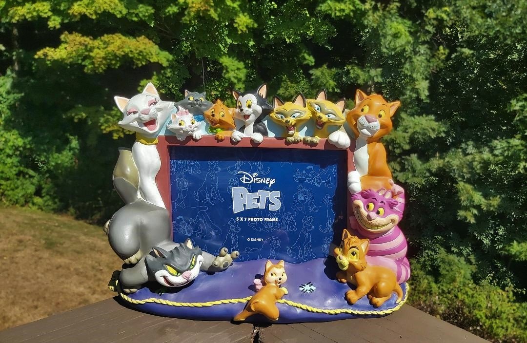 Disney Pets Cats Picture Frame 5x7 Photo 3D Aristocats Duchess Cheshire ...