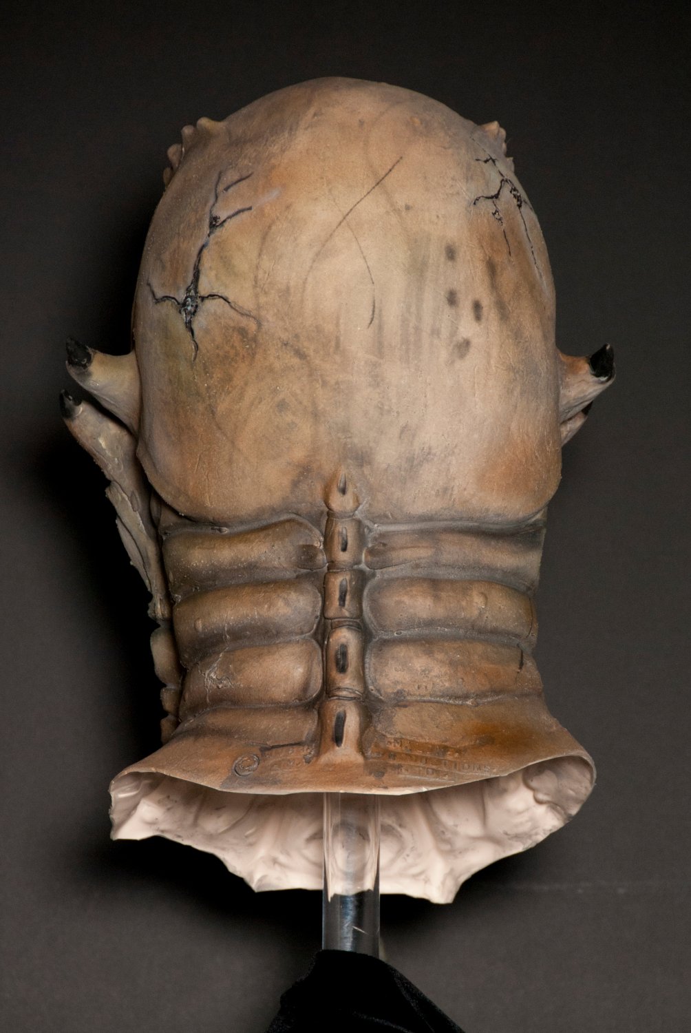 Thanatoid Alien Monster Creature Extraterrestrial Death Thanatos Scary ...