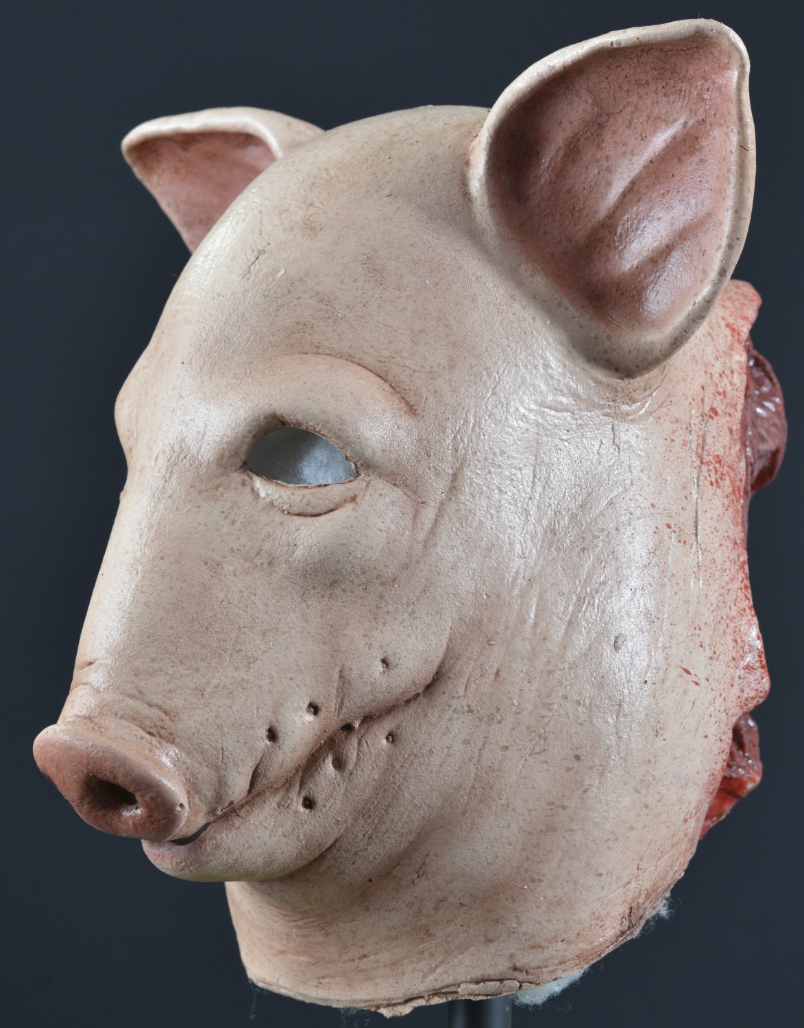Blood Pig Head Bloody Gory Animal Monster Creature Scary Creepy ...