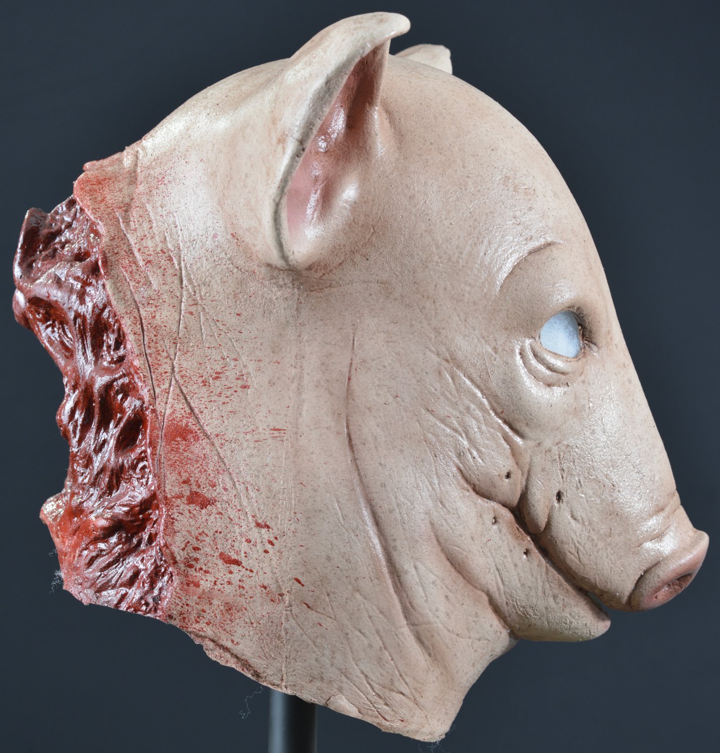 Blood Pig Head Bloody Gory Animal Monster Creature Scary Creepy ...
