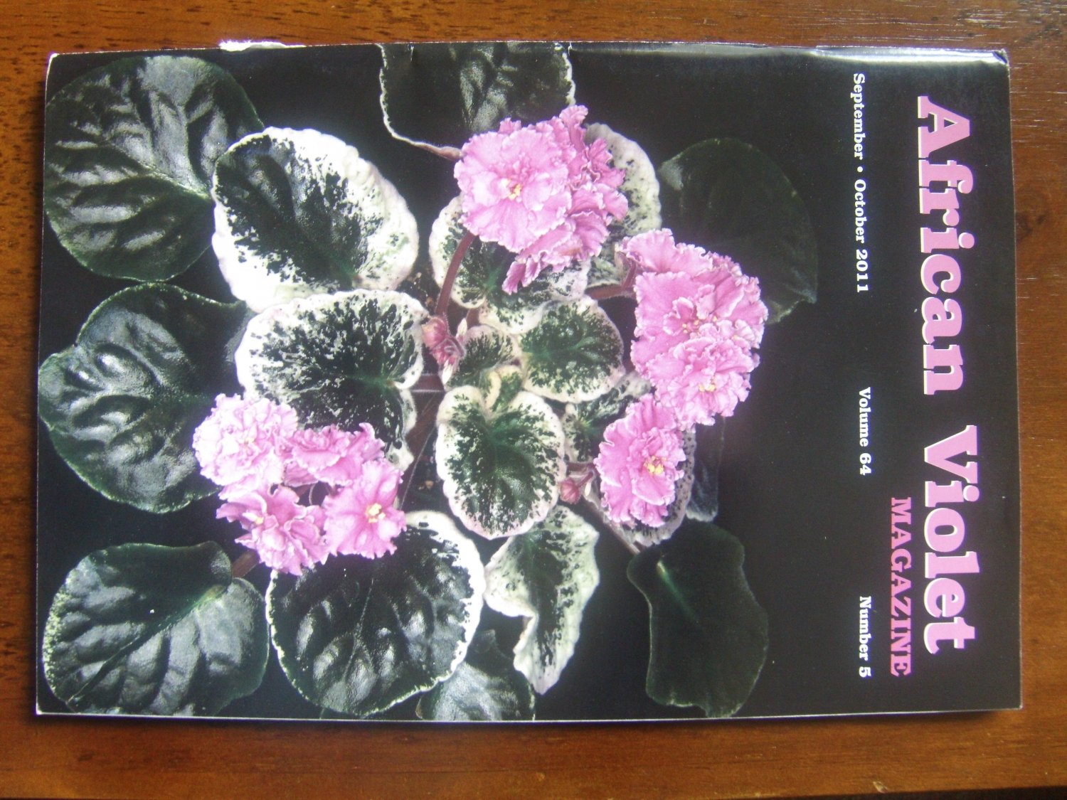 african violet magazine September/October 2011