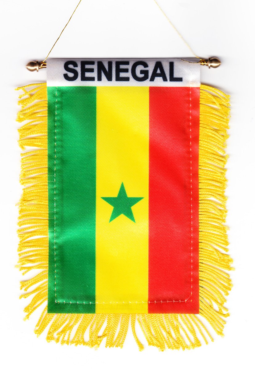 Senegal Window Hanging Flag