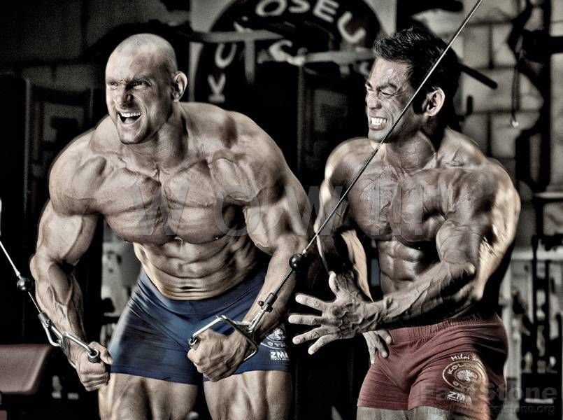 Bodybuilder PETR BREZNA High Definition 13x19 inch Photo Picture Print