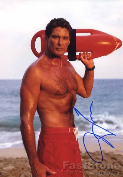 David Hasselhoff Autographed Signed 8x10 Photo Picture Reprint