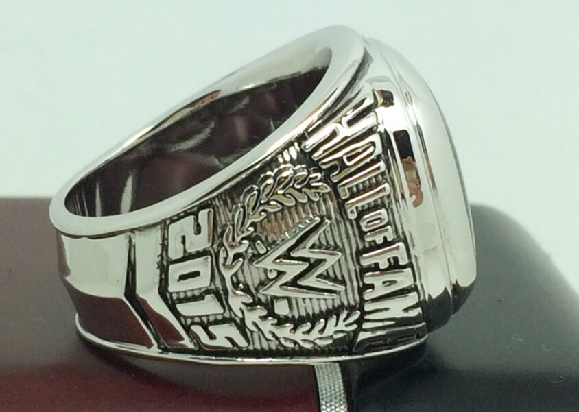 2015 WWE Hall of Fame Ring World Title Championship Wrestling ...