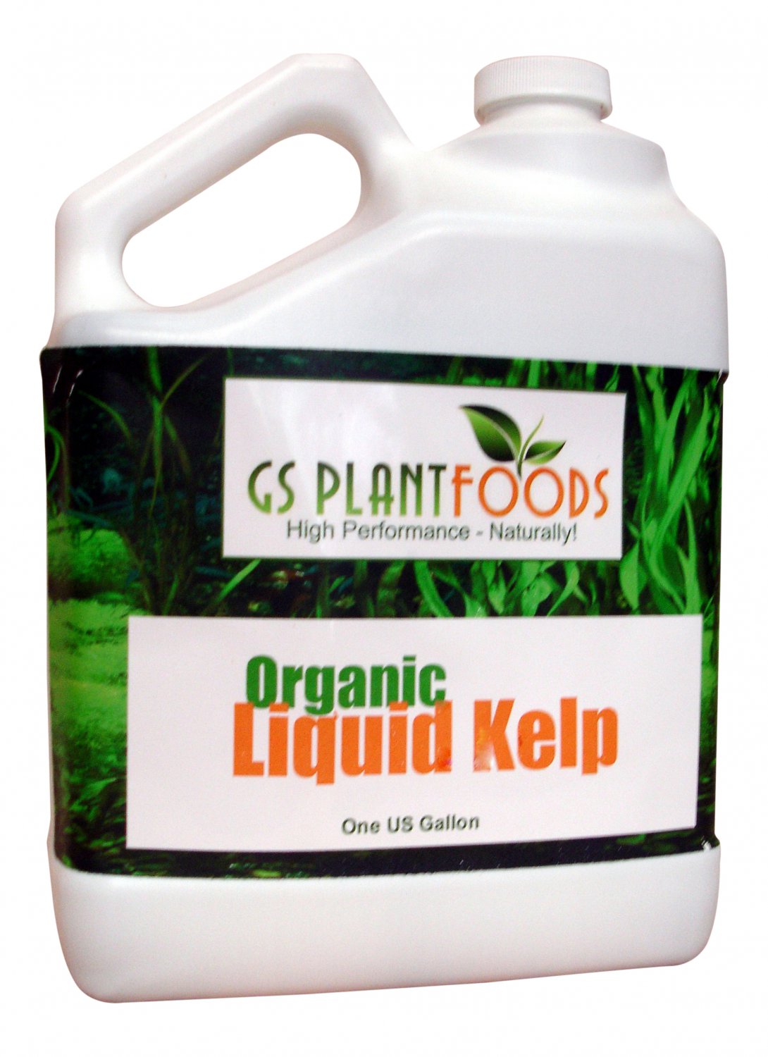 Liquid Kelp Organic Seaweed Fertilizer 1 Gallon Of Concentrate