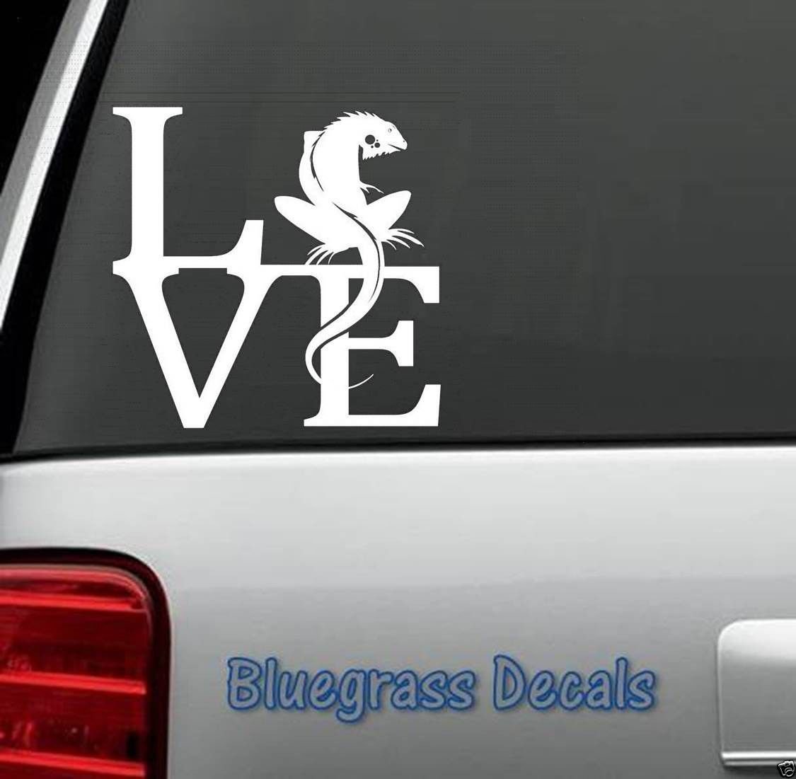 D1036 IGUANA REPTILE LIZARD DECAL STICKER Car Truck SUV 4X4 Van BOAT ...