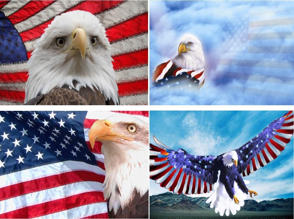 Lot Of 6 Patriotic Eagle Fabric Panel Quilt Squares