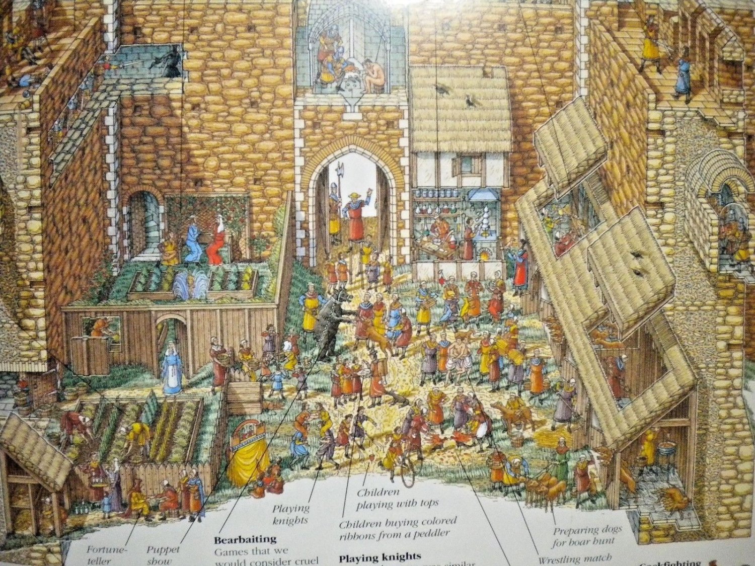 Stephen Biesty's Cross-Sections Castle (1994, Hardcover)