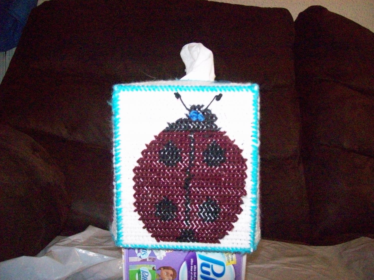 Handmade Plastic Canvas Ladybug Tissue Box Cover