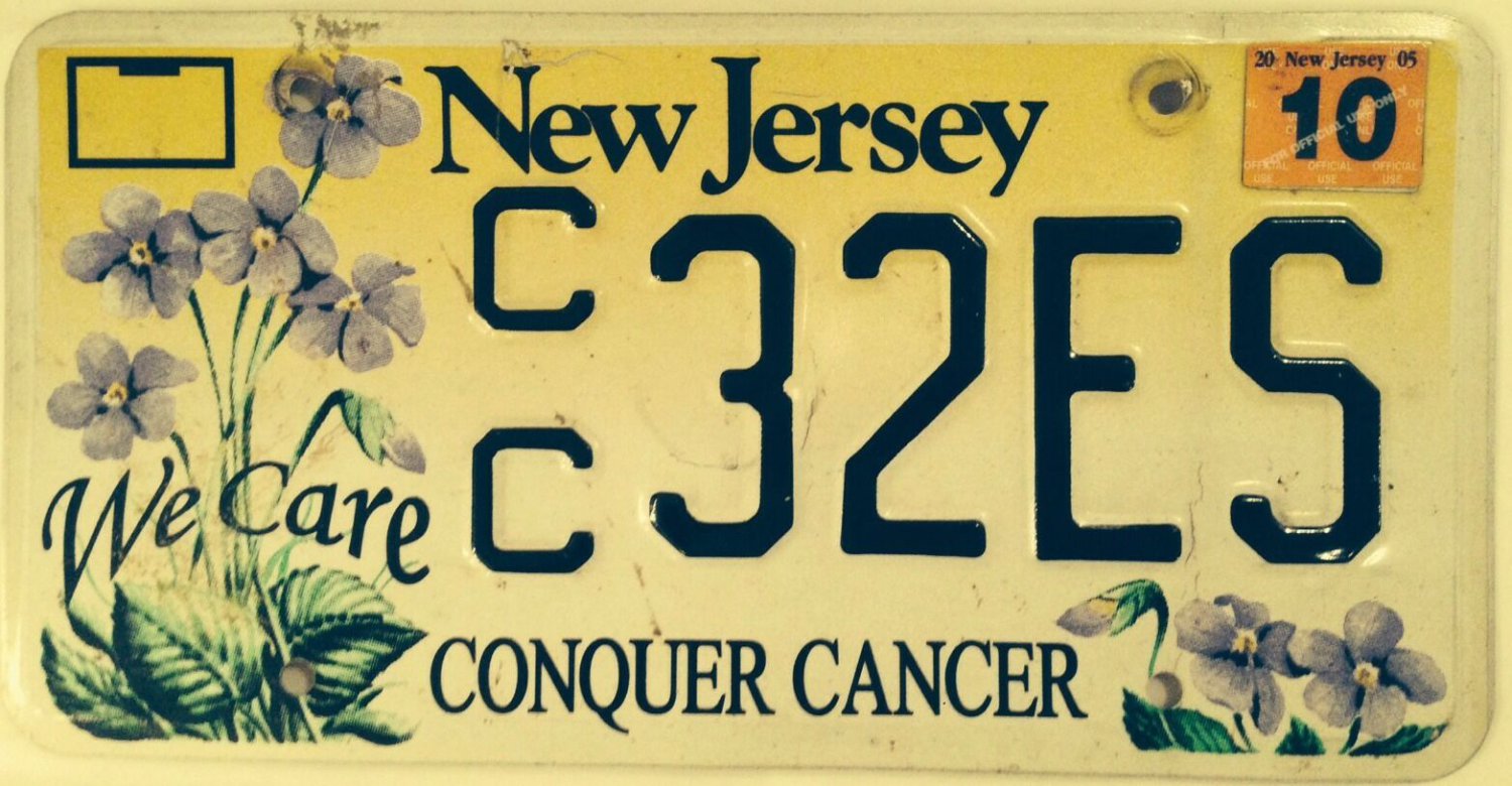Conquer Cancer Survivor license plate breast oncology Race For Cure ...