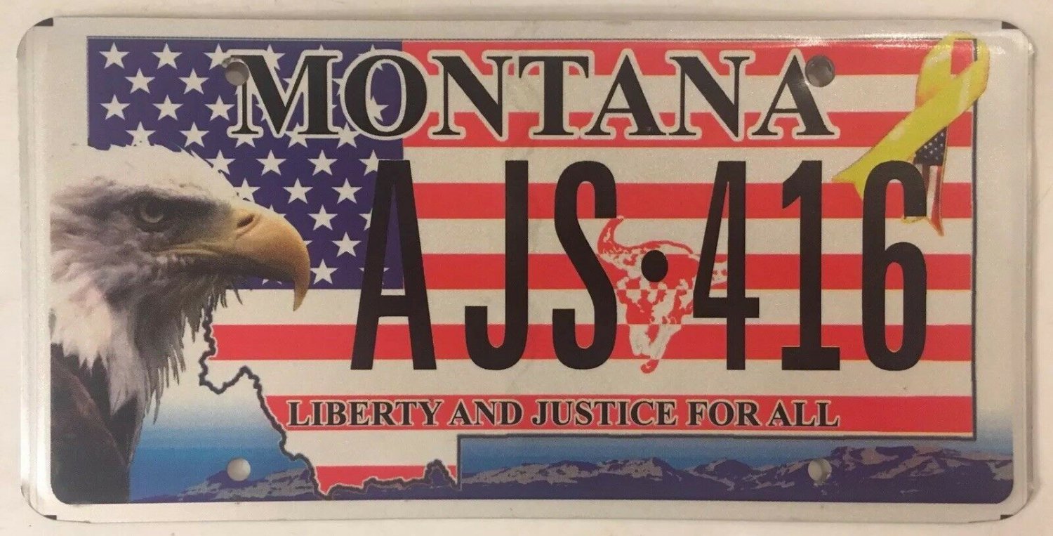 WILDLIFE BALD EAGLE LIBERTY & JUSTICE FOR ALL license plate Pledge Of ...