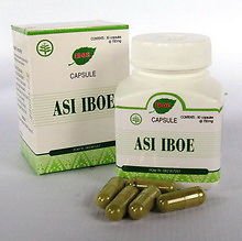 2 x 30 indonesian herb capsules of ASI IBOE for breastfeeding woman