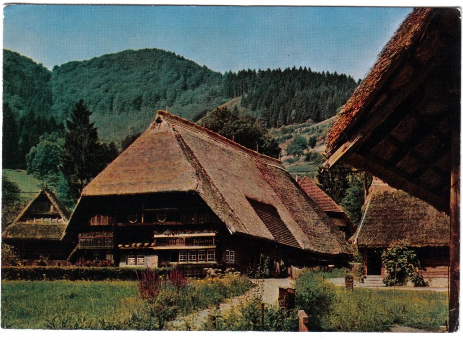 Germany Postcard Schwarzwälder Freilichtmuseum Vogtsbauernhof Black Forest