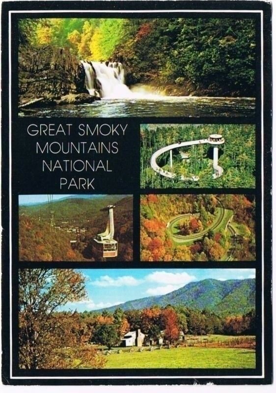 Tennessee Postcard Great Smoky Mountains National Park Multi View