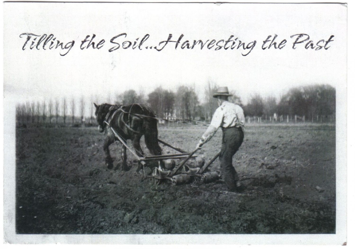 Art Postcard Reuben Sallows Gallery Tilling The Soil Harvesting The Past