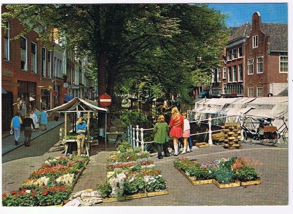 Holland Postcard Delft Bloemenmarkt Flower Market