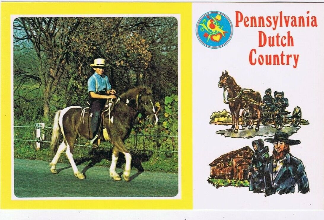 Postcard Pennsylvania Dutch Country Boy Riding Pony