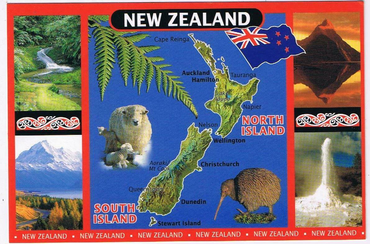 New Zealand Postcard Map With Multi View Animals
