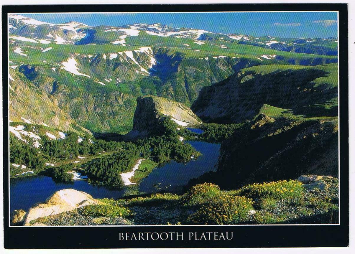 Montana Postcard Beartooth Plateau Rock Creek Canyon