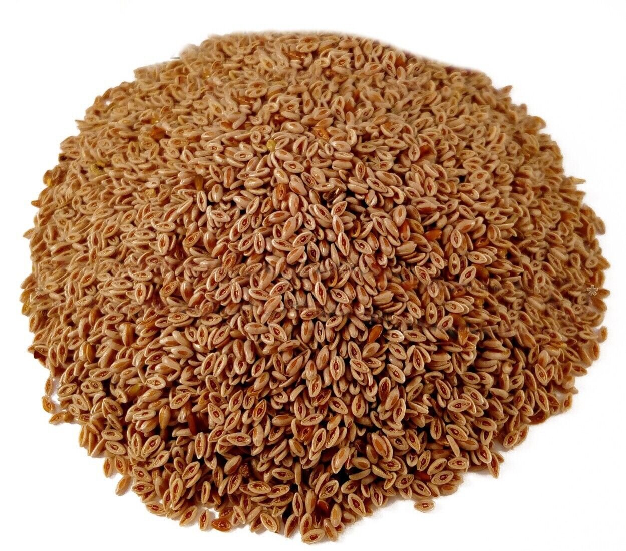 White Husk Fiber Herb Tea Psyllium, for constipation, Plantago Psyllium ...