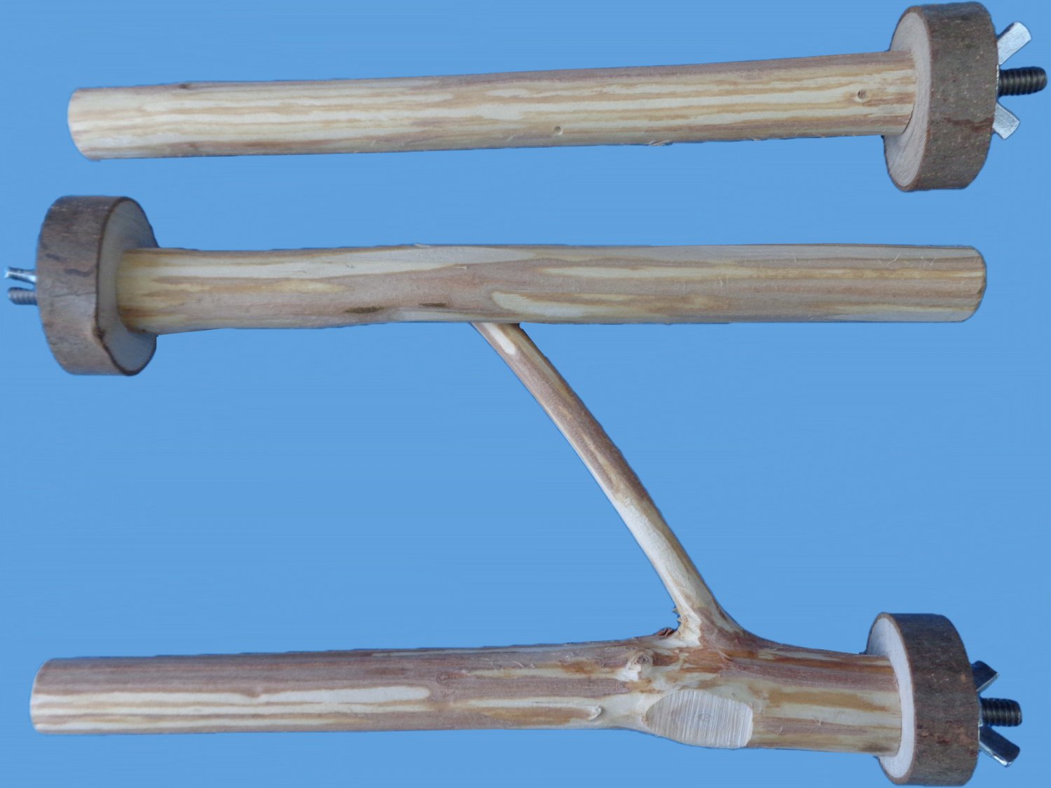 Natural Tree Branch Bird Perches,8 inch. Hand Cut And Shaved,Set of 3