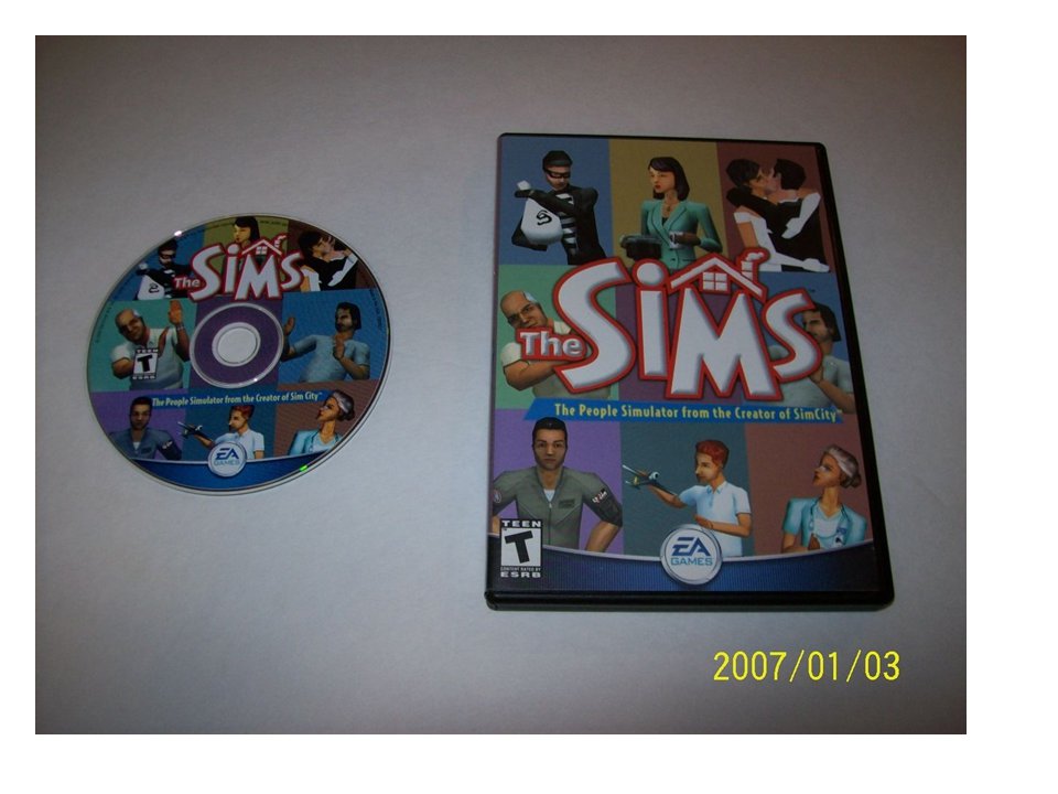 The Sims: THE pEOPLE sIMULATOR FROM THE cREATOR OF sIM cITY (CD-ROM)