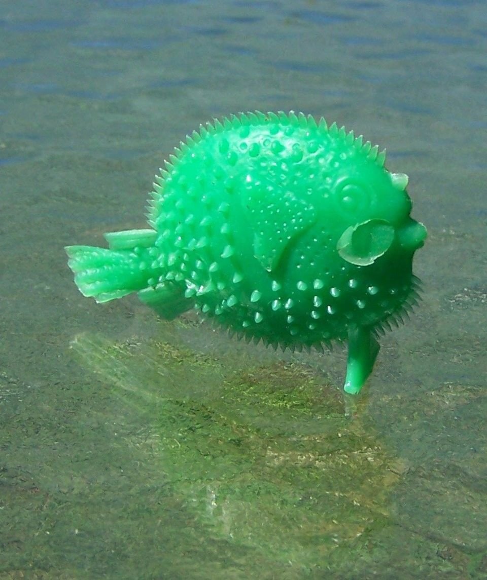 MPC Sea Creatures: Porcupine Fish in Regular Issue Green (Probable ...