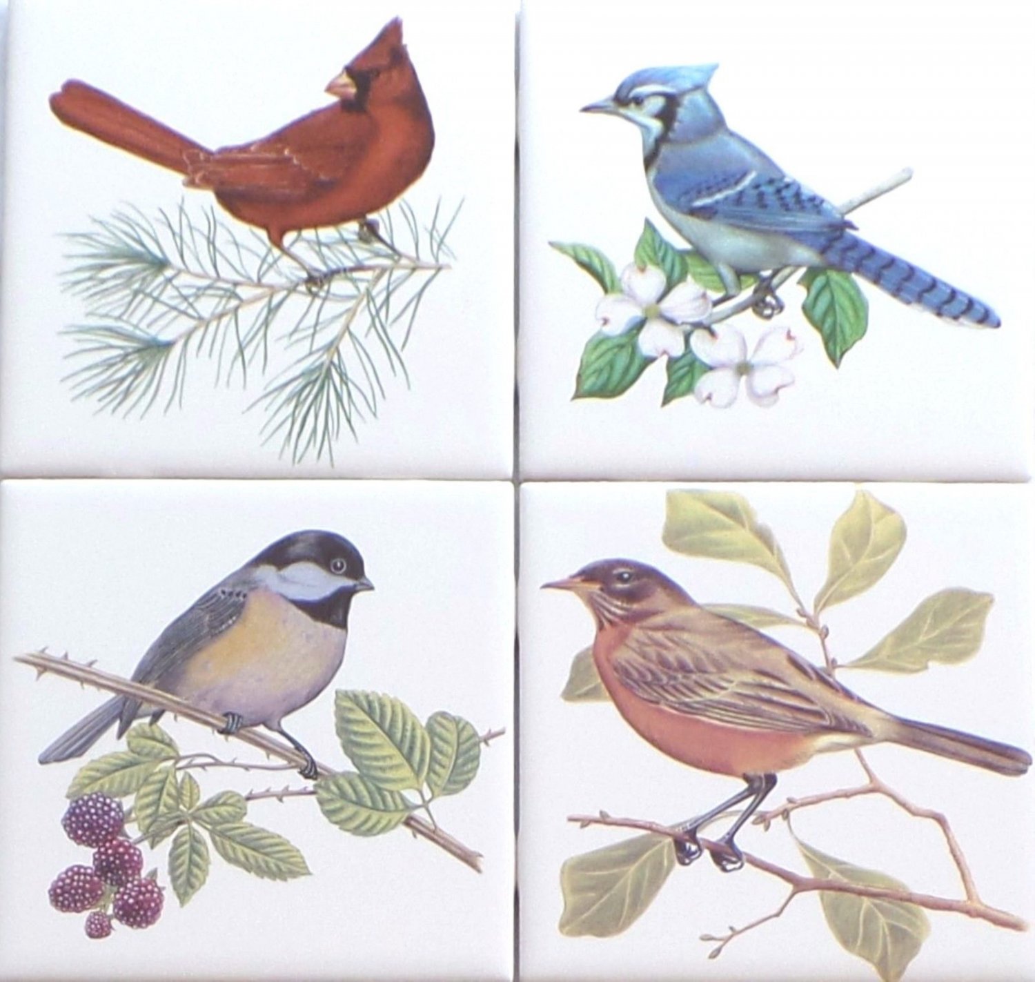 Decor A Beautiful Birds Ceramic Tile set 4 of 4.25" x 4.25" Kiln Fired ...