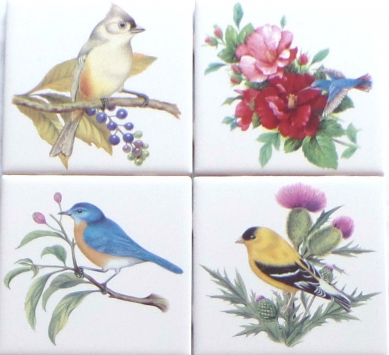 Decor B Beautiful Birds Ceramic Tile set 4 of 4.25" x 4.25" Kiln Fired ...