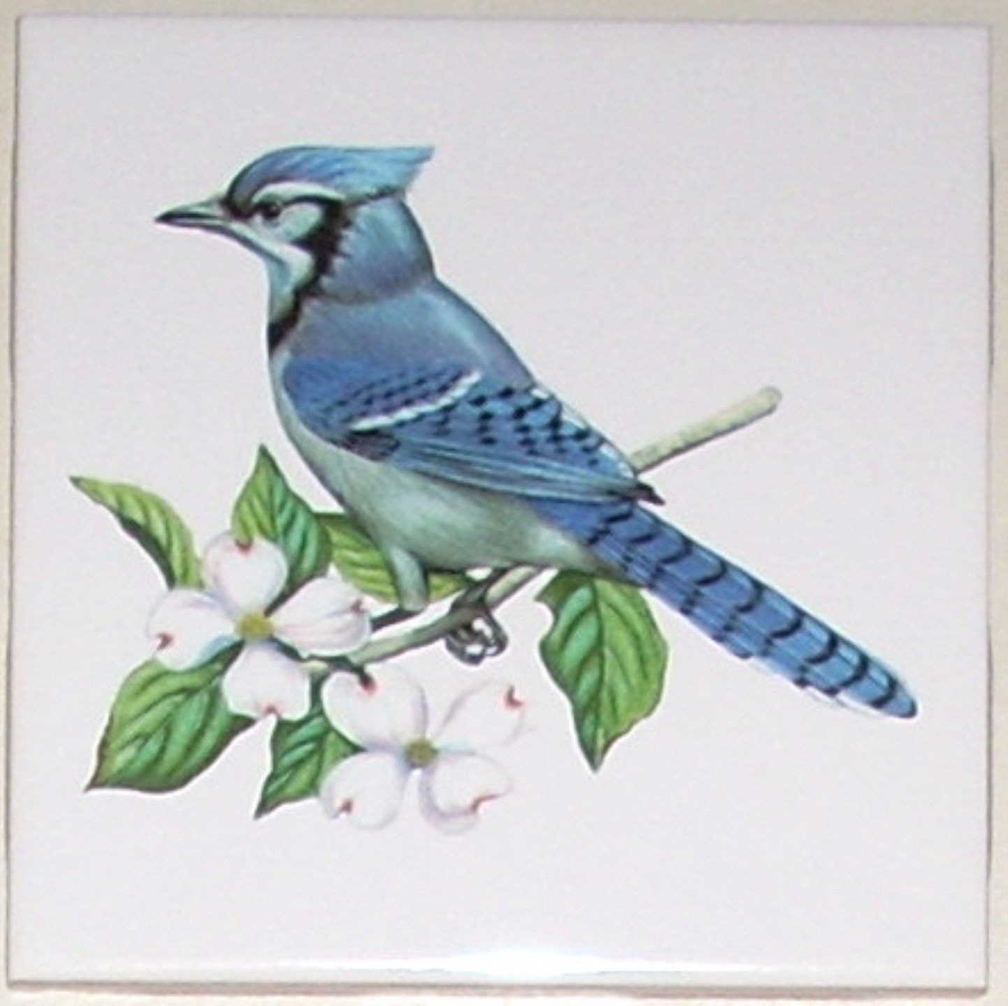 Blue Jay Ceramic Tile Song Bird