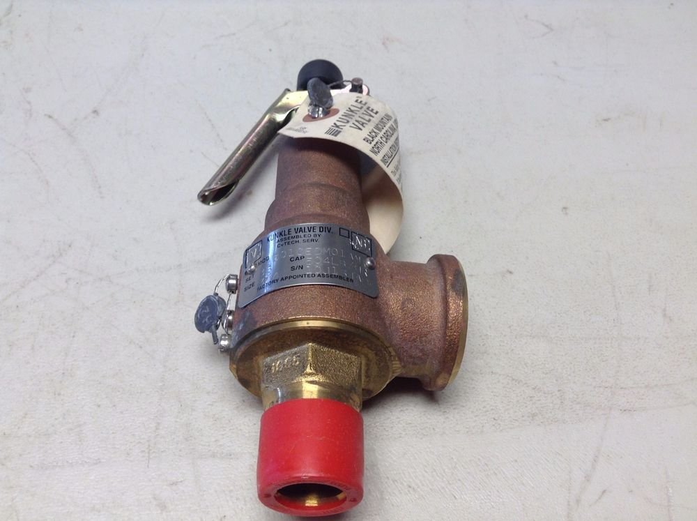 Kunkle 6010EDM01-AM 3/4 " 35 PSIG Pressure Relief Valve 6010EDM01AM 504 Lb/Hr