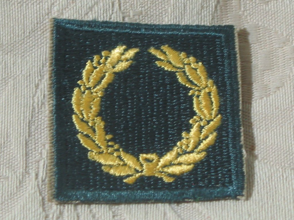 MILITARY SHOULDER PATCH Meritorious Unit Citation Gold Wreath Vietnam ...