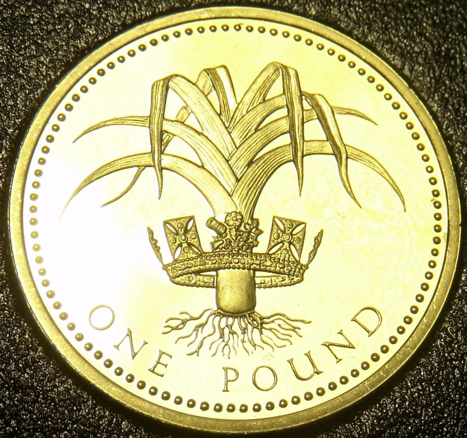 Great Britain 1985 Pound Proof~102,000 Minted~Welsh Leek~Edge ...