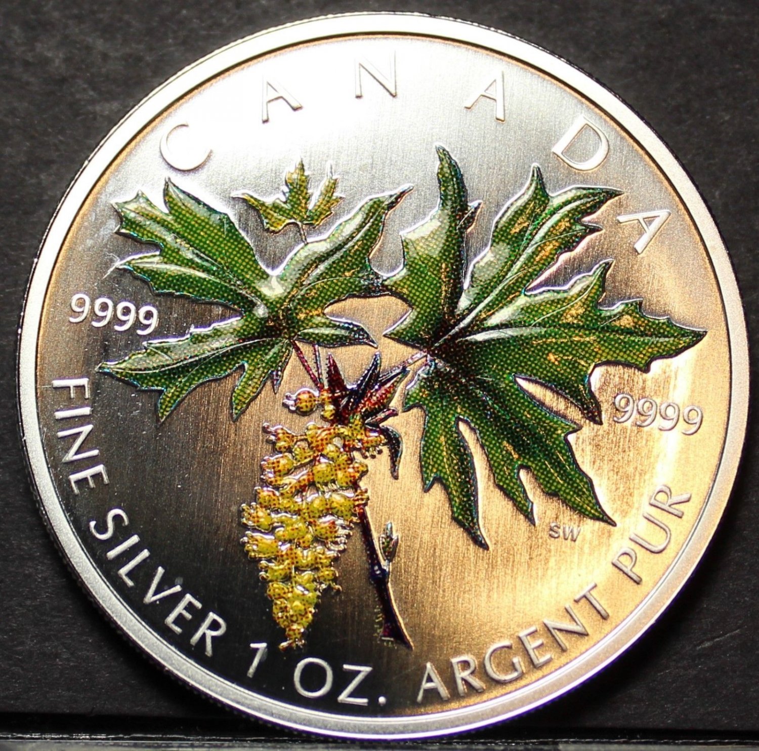 Canada 5 Dollars, 2005, RARE SILVER UNC~Big Leaf Maple~21,233 Minted ...