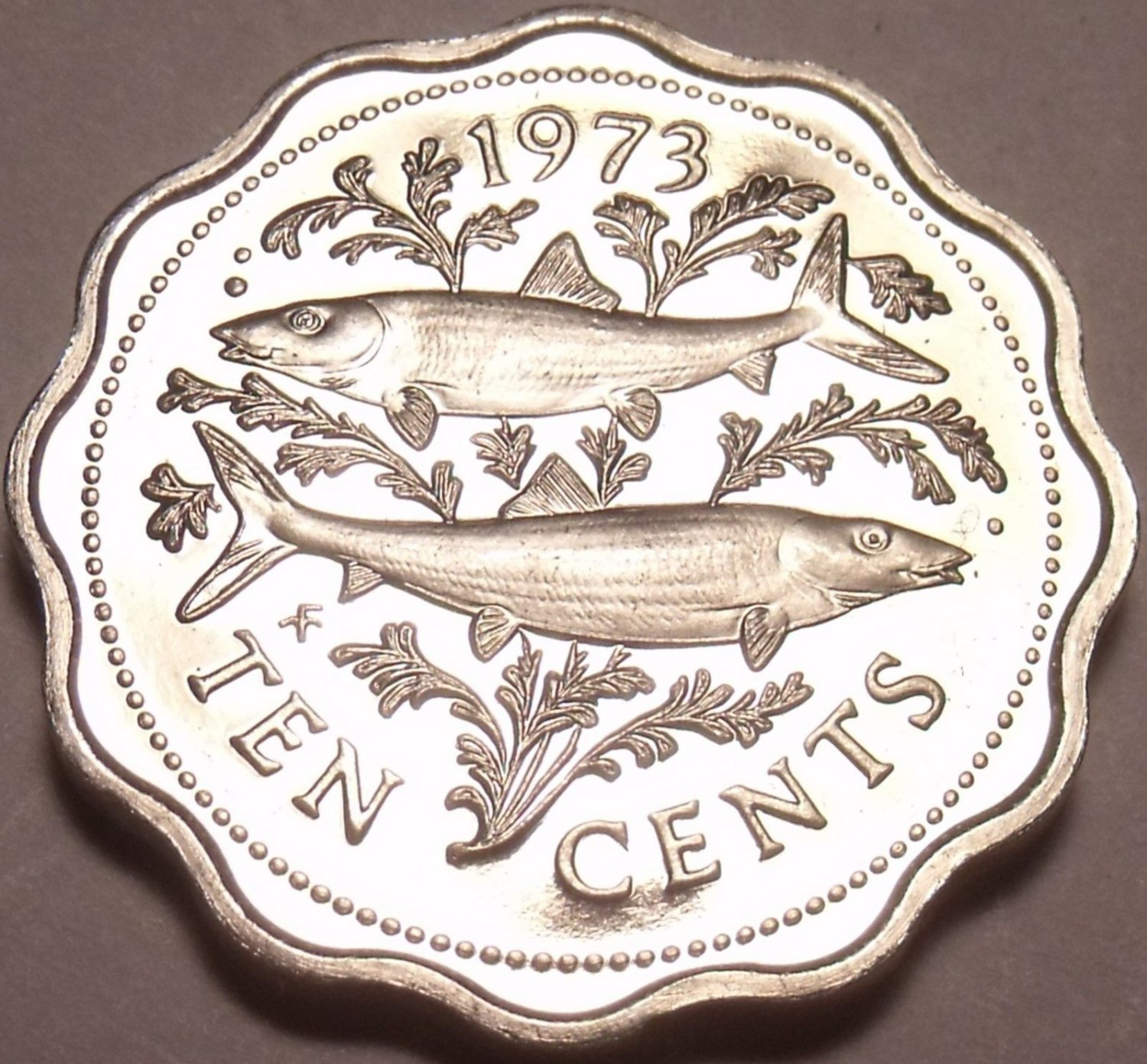 Bahamas 10 Cents, 1973 Rare Proof~Bone Fish~35,000 Minted~Scalloped ...