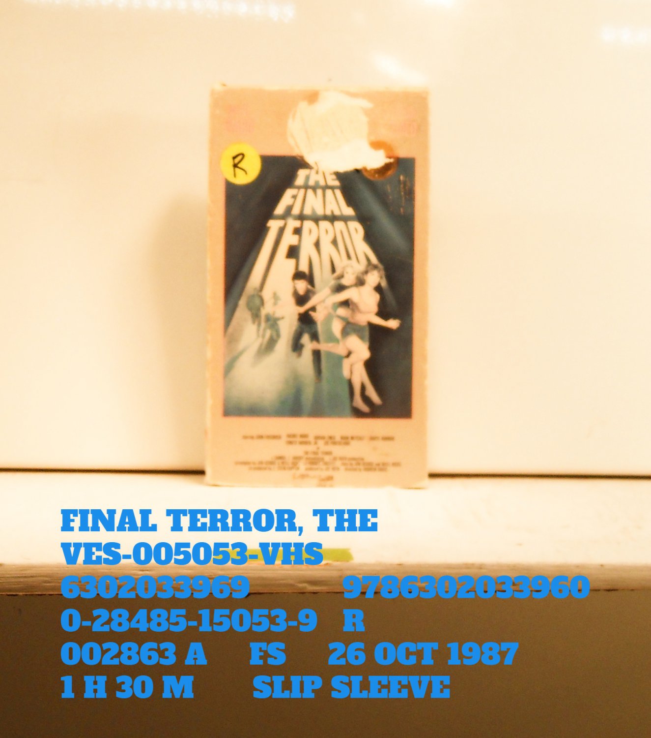 VHS - FINAL TERROR, THE
