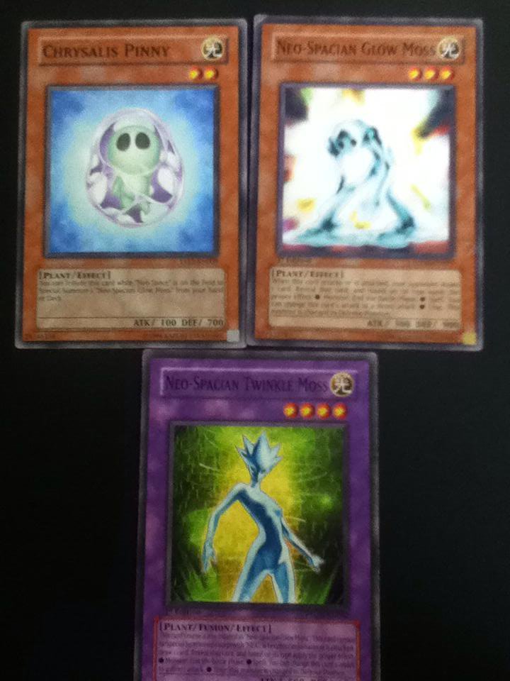 CHRYSALIS PINNY + NEO-SPACIAN GLOW MOSS + NEO-SPACIAN TWINLE MOSS