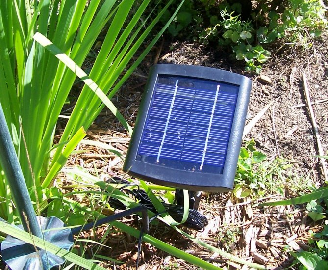 Solar Plant Hanger Shepherd Hook ~gemsandstems.info~