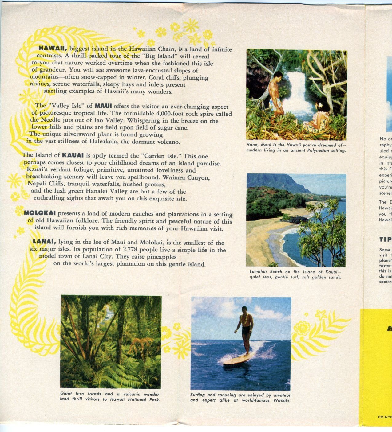 Hawaiian Airlines Route Map Brochure Poster Melbourne Brindle 1960s Hawaii