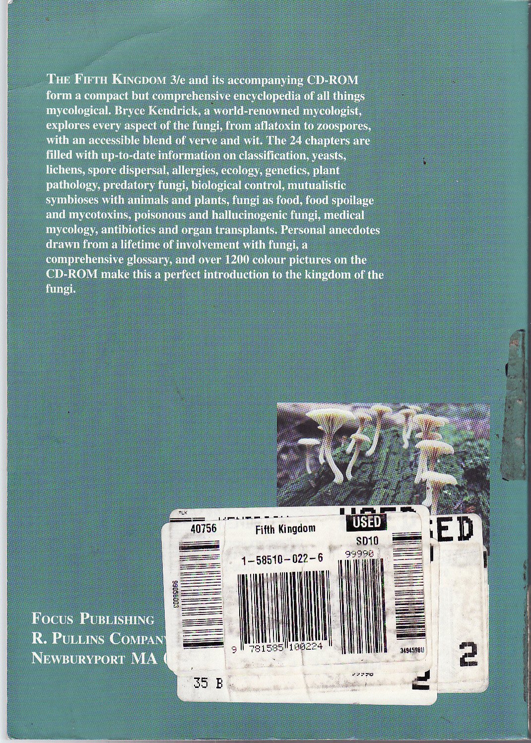 The Fifth Kingdom by Bryce Kendrick