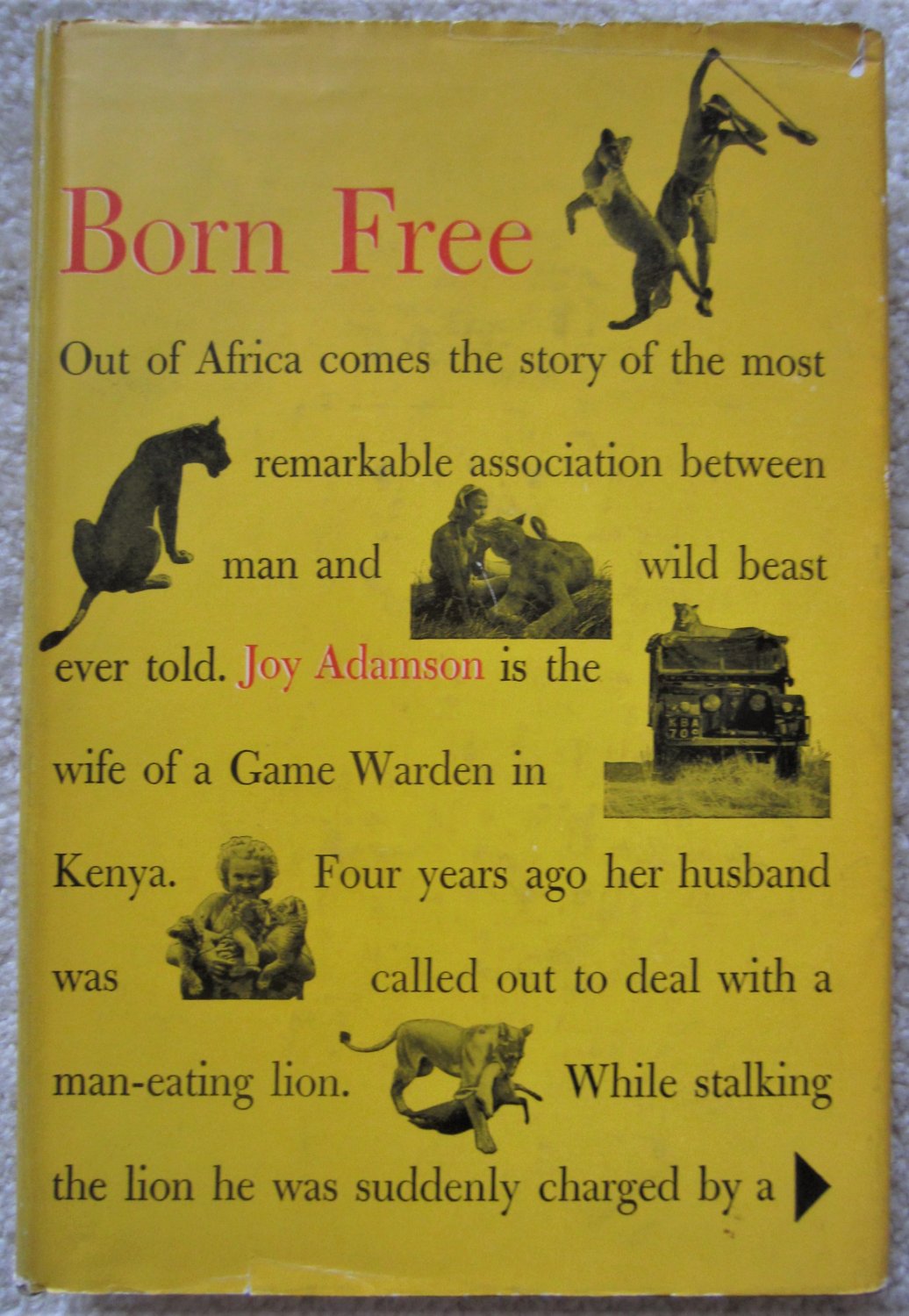 Born Free - A Lioness of Two Worlds - Joy Adamson