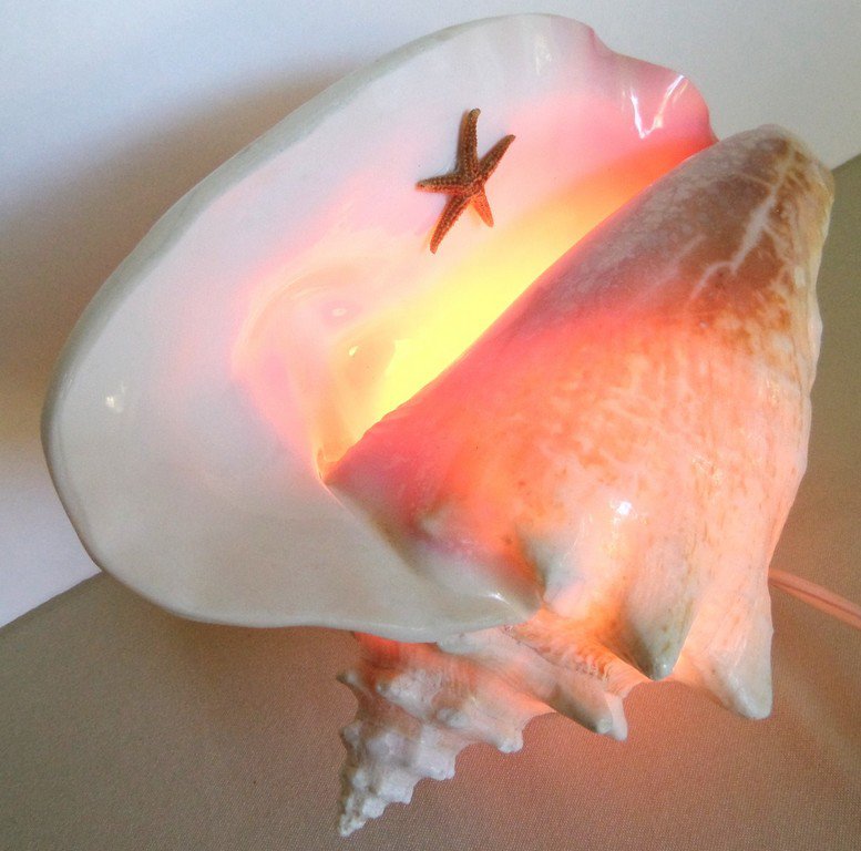 Natural Conch Sea Shell Electric Light Lamp Table Top Shelf Handmade