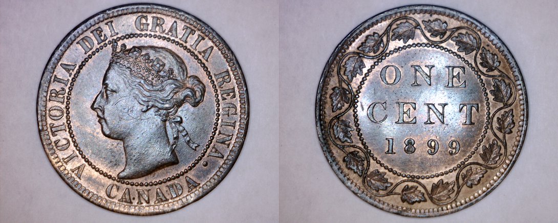 1899 Canada 1 Large Cent World Coin Canada 1899-canada-1-large-cent-world-coin-canada