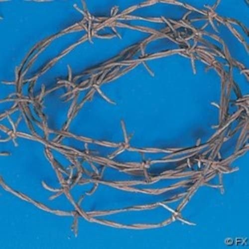 Rustic Nylon Barb Wire Wild West Decoration 18 Ft Halloween western ...