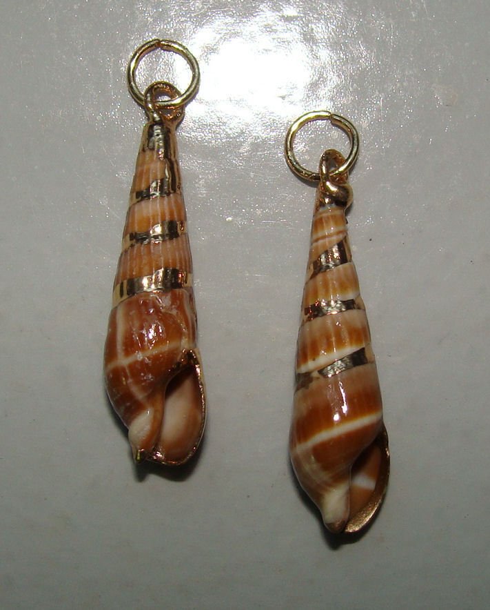 Long & Sleek 1 3/8" Natural Auger Shell INTERCHANGEABLE Earrings Charms ...