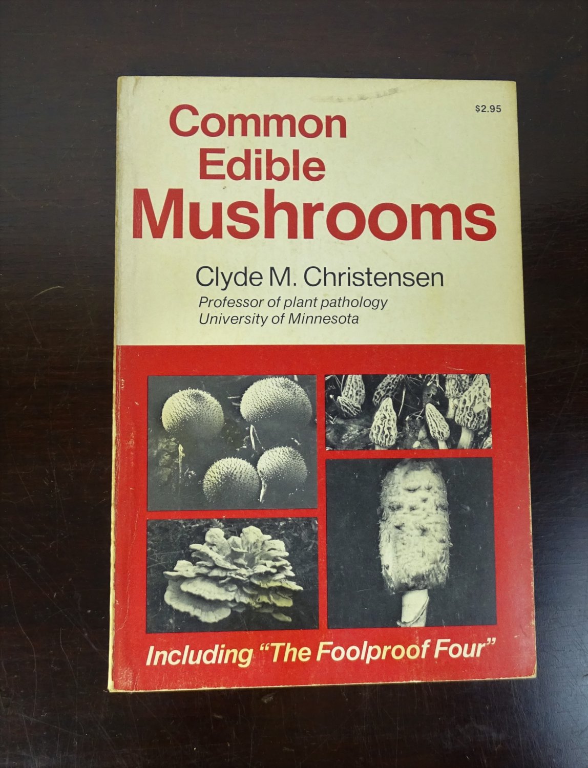 Common Edible Mushrooms Fungi Identification Book, Vintage Field Guide ...