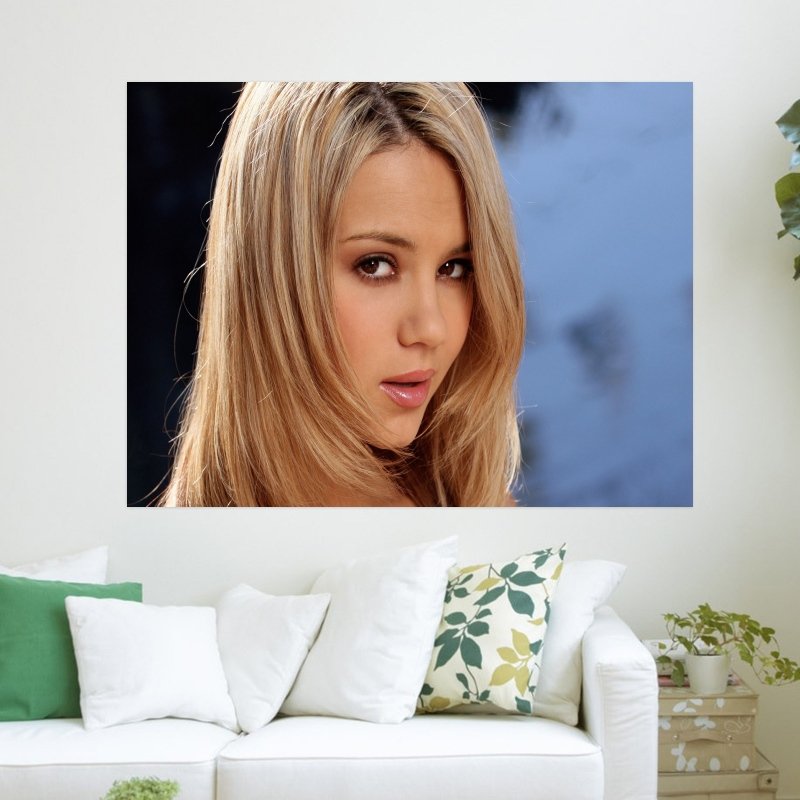 Ashlynn Brooke Porn Star Movie Poster 24x18 Inch