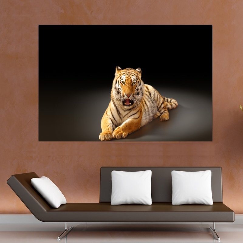 Angry Tiger Poster Poster 36x24 inch