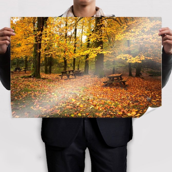 Autumn Leaves Falling Down Poster 36x24 inch